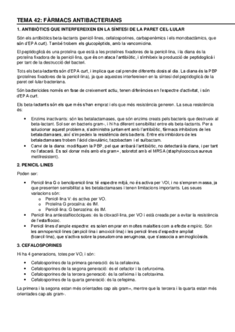 TEMA-42.pdf