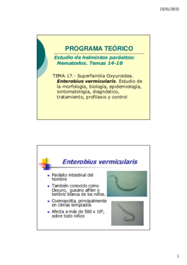 P. Tema 17. Enterobius vermicularis.pdf