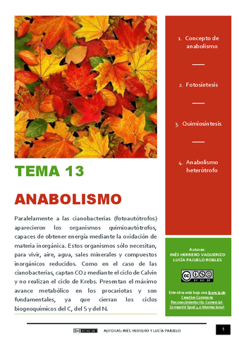 TEMA 13 - METABOLISMO (ANABOLISMO).pdf