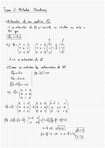 Tema-2-algebra-lineal-y-numerica.pdf