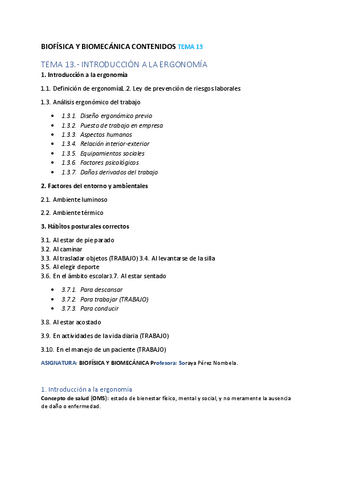 BM-T13.-Ergonomia.pdf