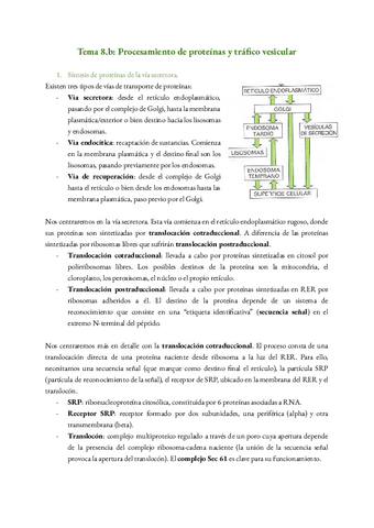 Tema-8.b-Procesamiento-de-proteinas-y-trafico-vesicular.pdf