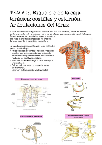 Tema-2.-Bloque-4.pdf