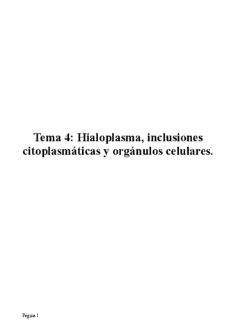 Tema-4.-Bloque-1.pdf