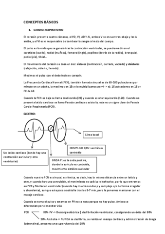 CONCEPTOS-BASICOS.pdf