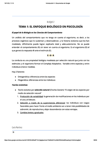 Bloque-2-Tema-1-Introduccion-II.pdf