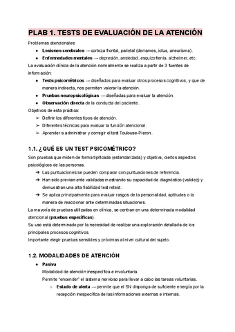 PLAB-1-TEST-ATENCION.pdf