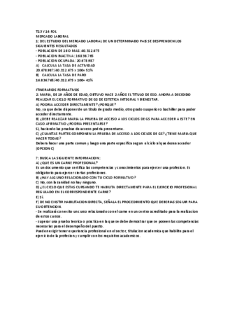 T13-Y-14-FOL.pdf