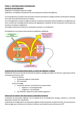 MICRO.tema-5-metabolismo-microbiano.pdf