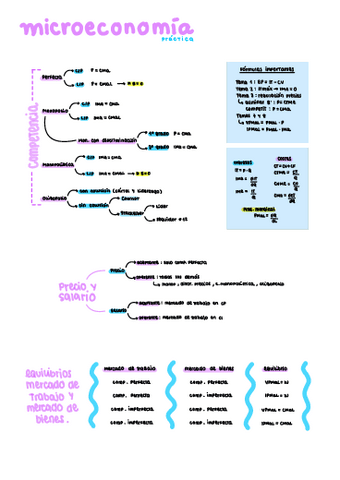 esquema-resumen-todo-micro.pdf