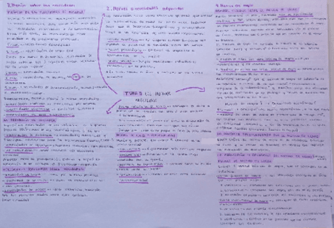 mapa-conceptual-tema-5.pdf