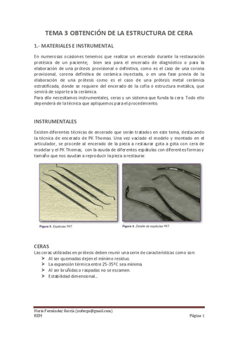 REM.-OBTENCION-DE-LA-ESTRUCTURA-DE-CERA.-LAS-CERAS-TECNICAS-DE-MODELADO-Tema-3.pdf