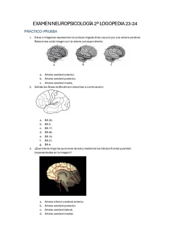 Ex.-NEURO-practico-prueba.pdf
