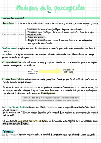 PPB-Percepcion-Tema-2.pdf