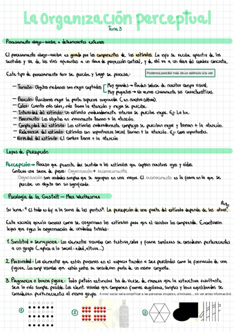 PPB-Percepcion-Tema-3.pdf