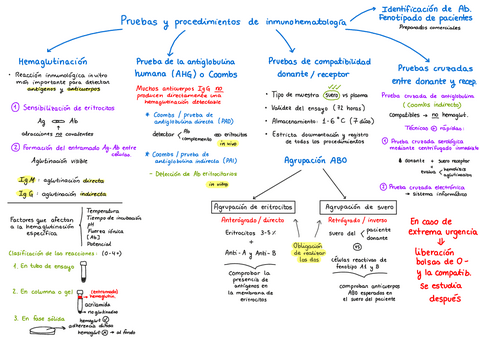 Esquema-Tema-3.-Pruebas.pdf
