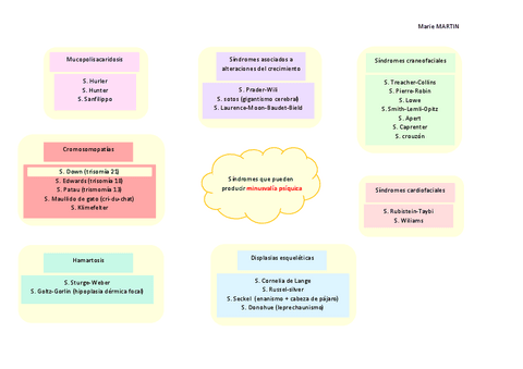 t10-esquema-sdrome-minusvalia.pdf