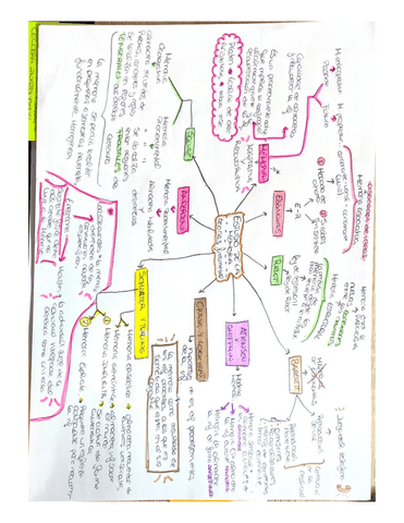 MEMORIA-MAPAS-CONCEPTUALES-T1-7.pdf