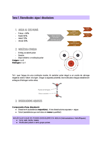 TEMA 1 BIOMOLÈCULES.pdf