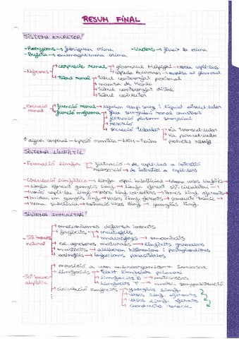 Resum-examen-final.pdf