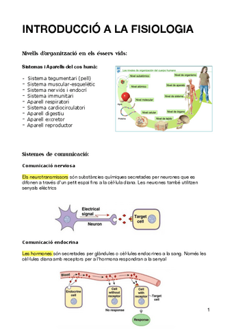 APUNTS-TOT-1R-QUATRI.pdf