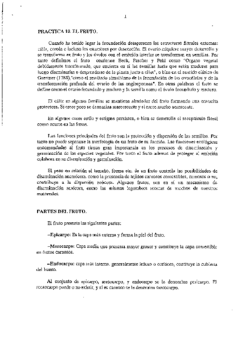 Tema-3-Complemento.pdf