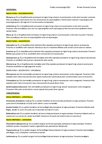 DEFINCIONS-EXAMEN-MICRO-PRACTIQUES.pdf