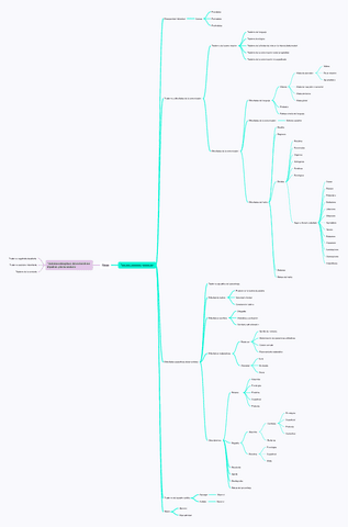 esquema-NEAE-parte-2.pdf