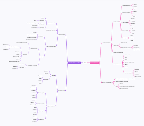 esquema-NEAE-parte-1.pdf