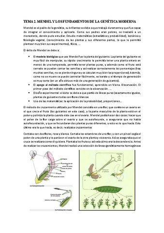 TEMA-2.-MENDEL-Y-LOS-FUNDAMENTOS-DE-LA-GENETICA-MODERNA.pdf