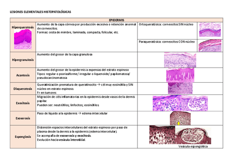 DERMA.-tablas-tema-2.pdf