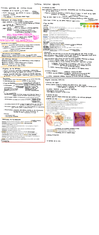 Tema-4.-Sistema-nervioso-aferente.pdf