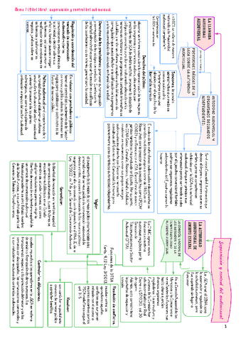 Derecho-tema-7-esquemas.pdf