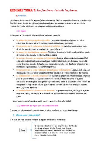 Funciones vitales de las plantas.pdf