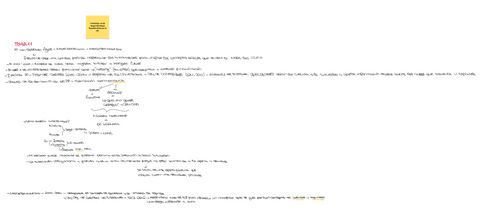 Tema-11-.-esquema.pdf