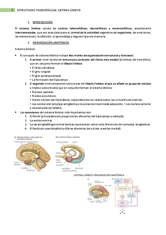 TEMA-7.-ESTRUCTURAS-TELENCEFALICAS.-SISTEMA-LIMBICO.pdf