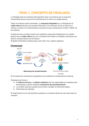 Medio-Interno.pdf