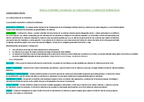 TEMA-3-PATRONES-CULTURALES-II-SUBCULTURAS-Y-CONFLICTOS-NORMATIVOS-1.pdf