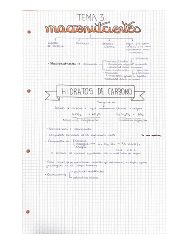Tema-3-nutri-hidratos-de-carbono.pdf