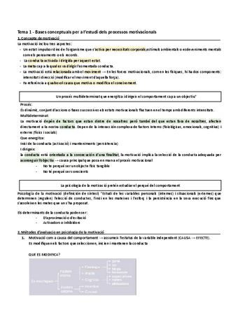 MOTEMO-TOT-1.pdf