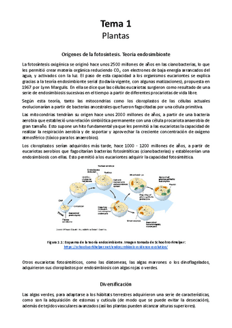 T2-fisio-vegetal-2025.pdf