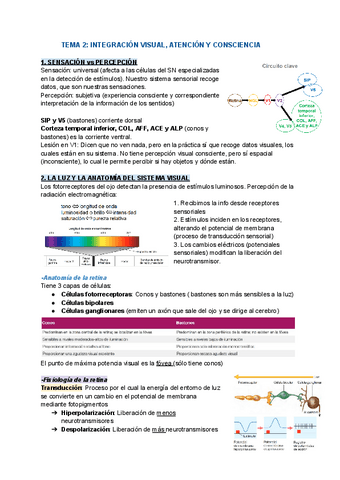 TEMA-2-INTEGRACION-VISUAL-ATENCION-Y-CONSCIENCIA.pdf