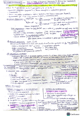 Chuleta-Temas-4-6-SEGUNDO-PARCIAL.pdf