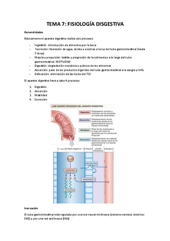 TEMA-7 FISIO.pdf