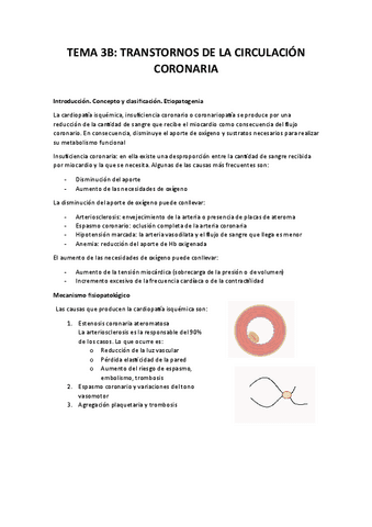 TEMA-3B FISIOPATO.pdf