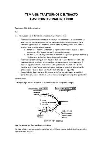 TEMA-9B FISIOPATO.pdf