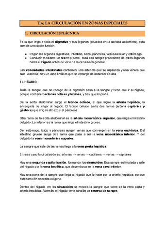 T4-CIRCULACION-EN-REGIONES-ESPECIALES.pdf