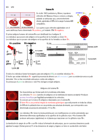 Sistema-Rh.pdf