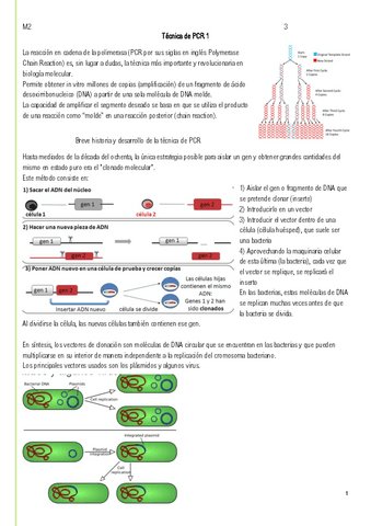 Tecnica-PCR-1.pdf