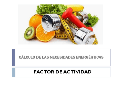 Factor-de-Actividad.pdf